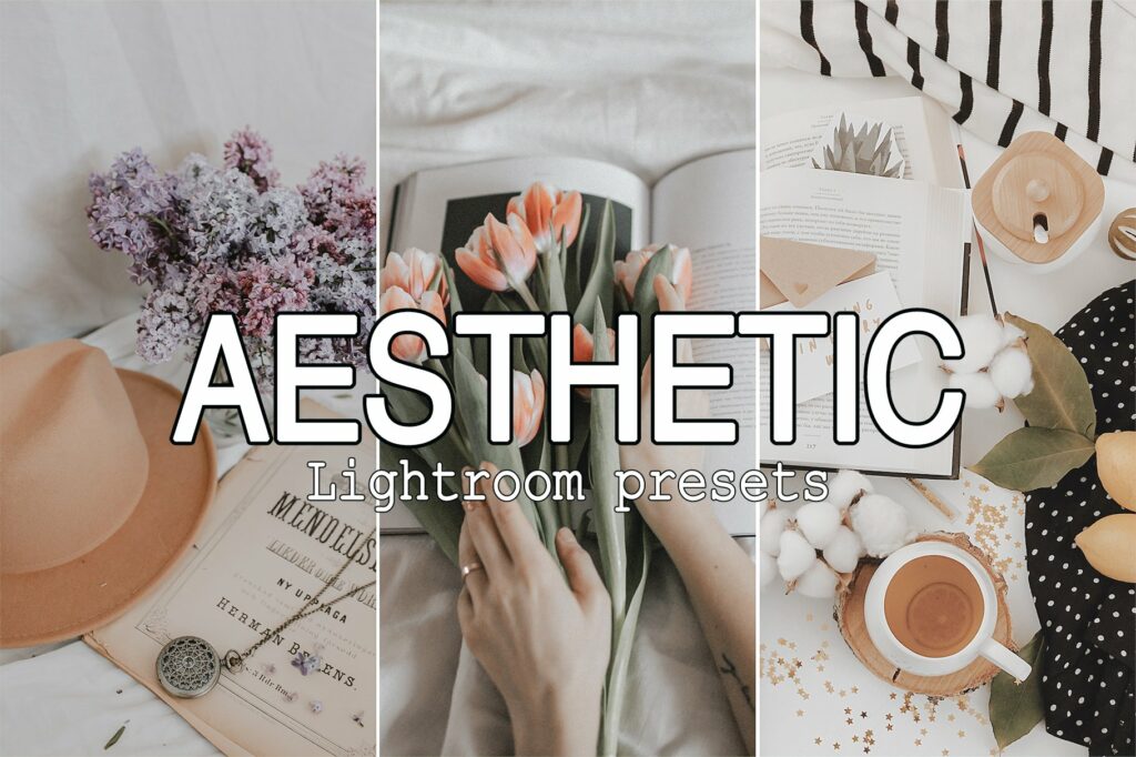 12 Aesthetic Lightroom Presets – MasterBundles