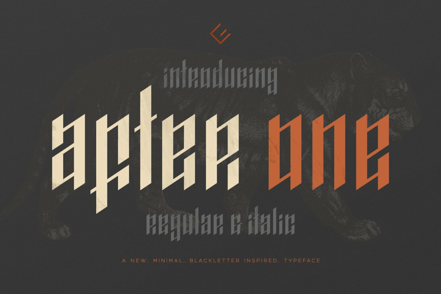 AfterOne - Blackletter Inspired Font – MasterBundles