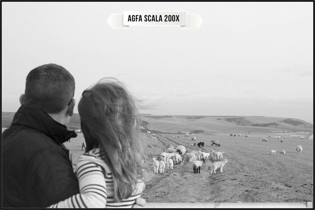 AGFA Black and White Films Profiles – MasterBundles