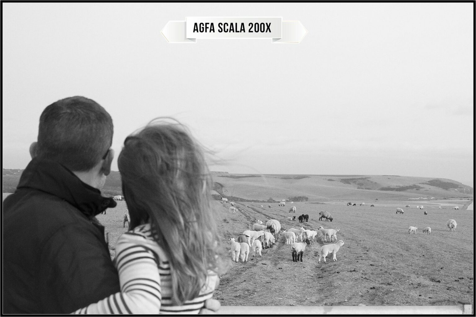 AGFA Black and White Films Profiles – MasterBundles