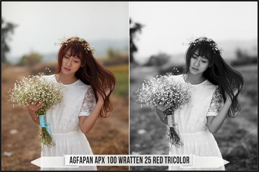 AGFA Black and White Films Profiles – MasterBundles