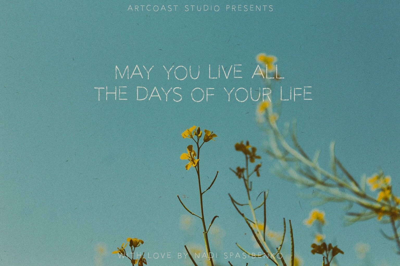 Alison Handwritten Font Duo – MasterBundles