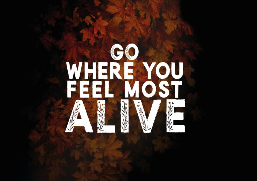 Country Road | Rustic Font – MasterBundles