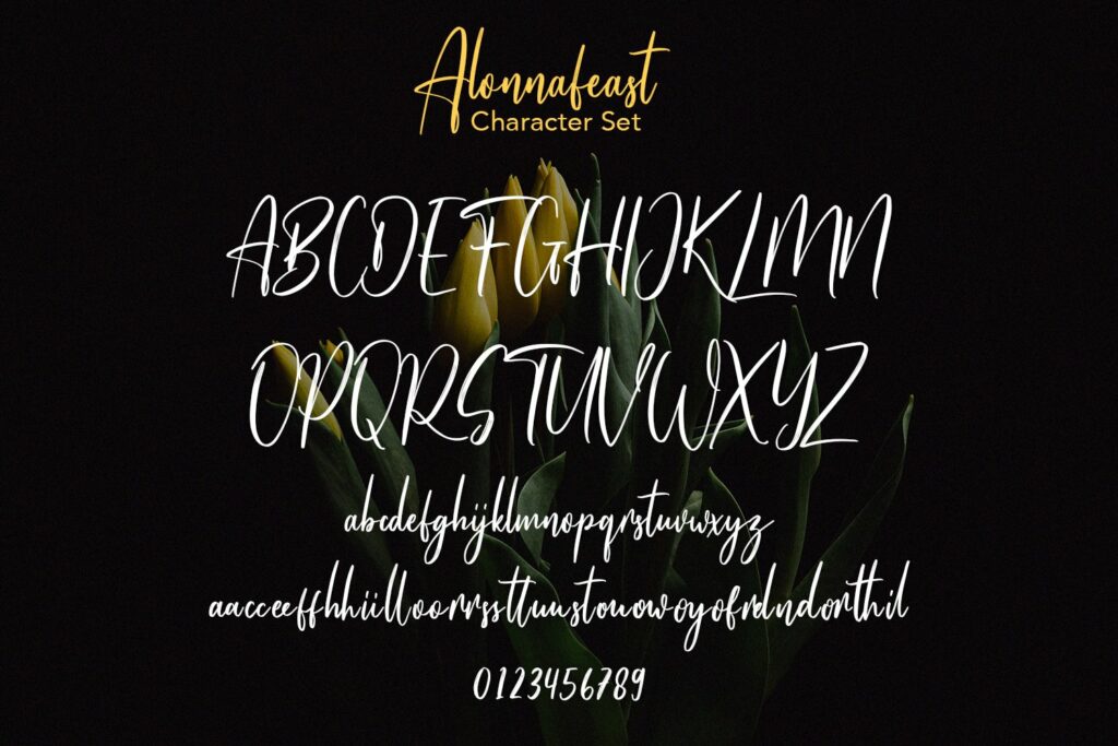 Alonnafeast Brush Script Font – MasterBundles