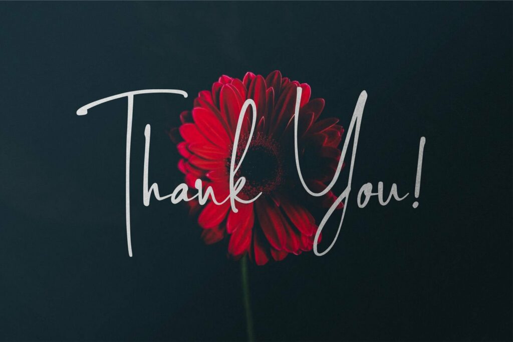 Alpha Danthe – MasterBundles