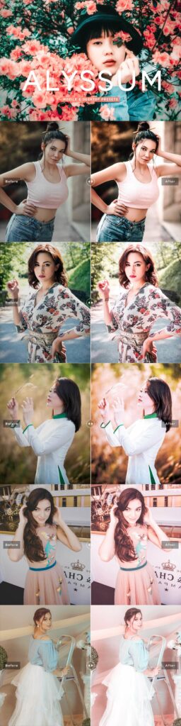 Alyssum Pro Lightroom Presets – MasterBundles