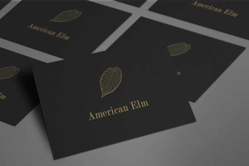 HandDrawn Leaf Library – MasterBundles