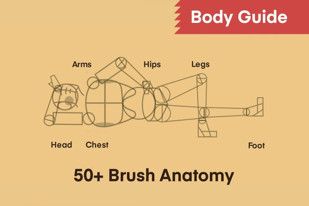 50 Brush Set Drawing Anatomy Masterbundles