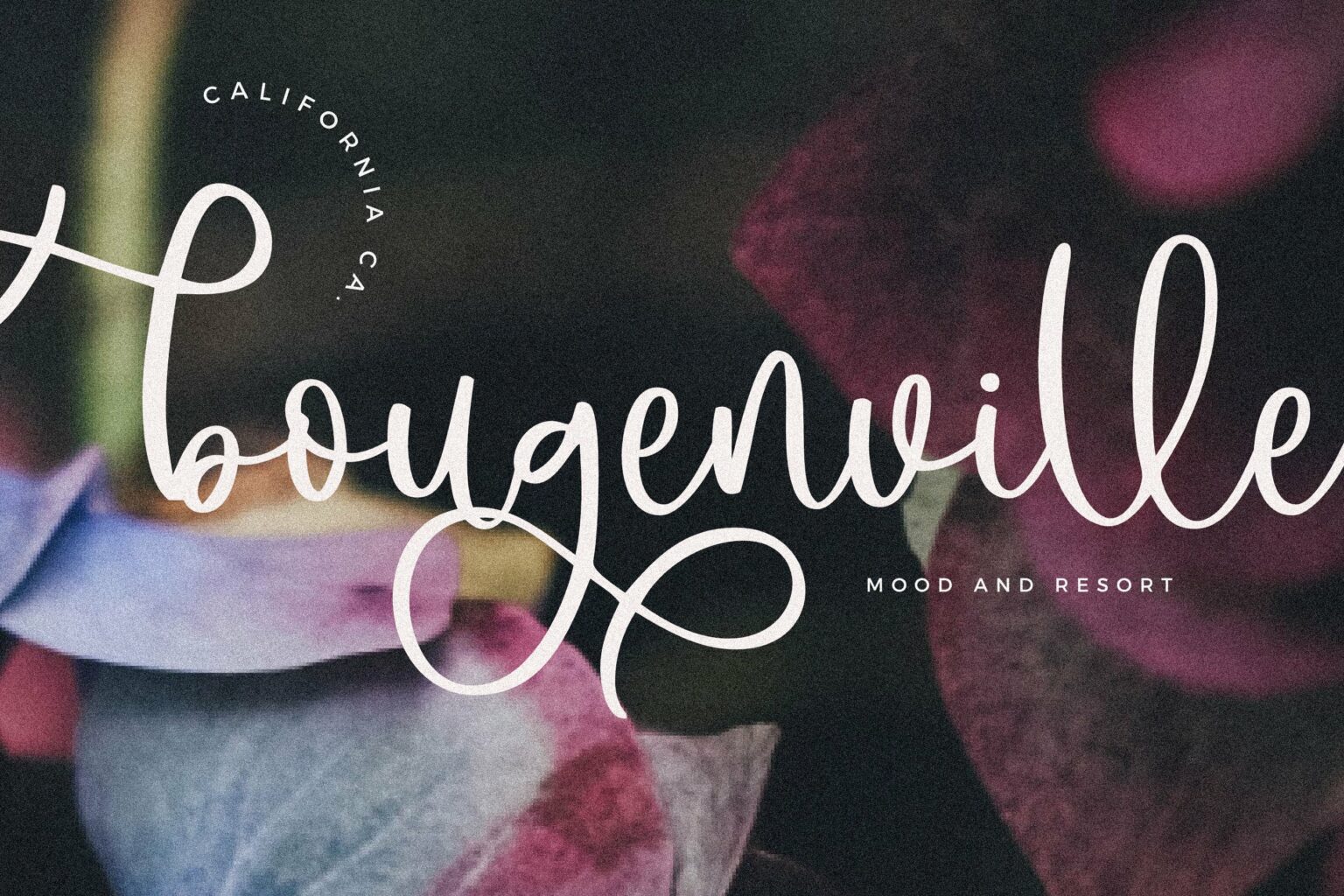 Angela - Script Wedding Font – MasterBundles
