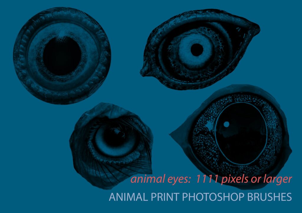 Animal Inspired PSD Brush Set – MasterBundles