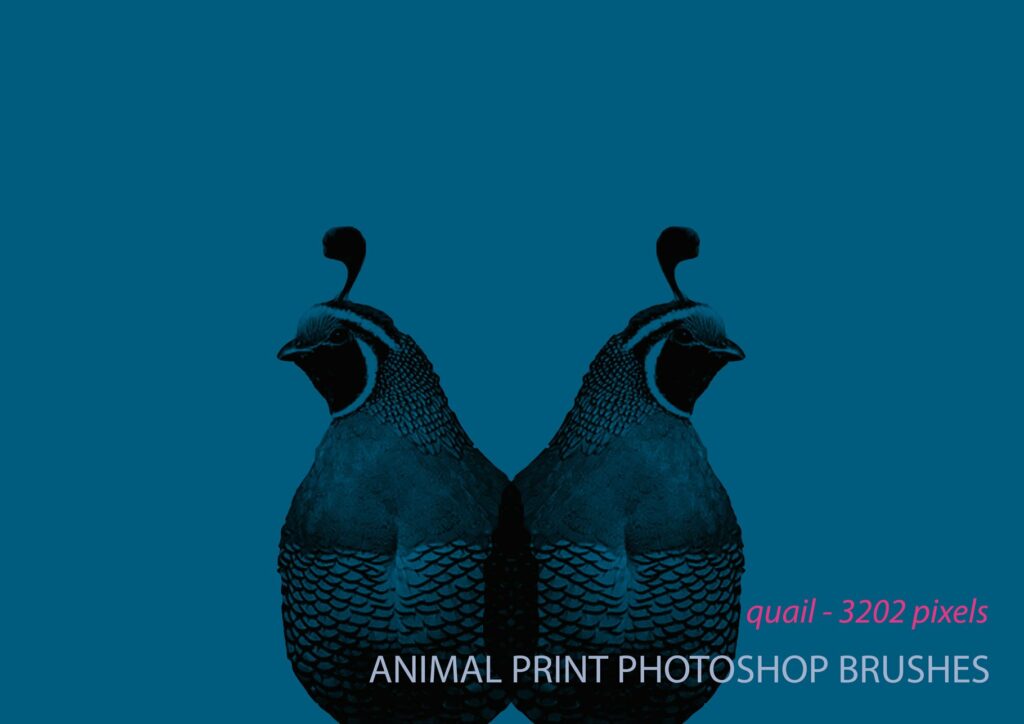 Animal Inspired PSD Brush Set – MasterBundles