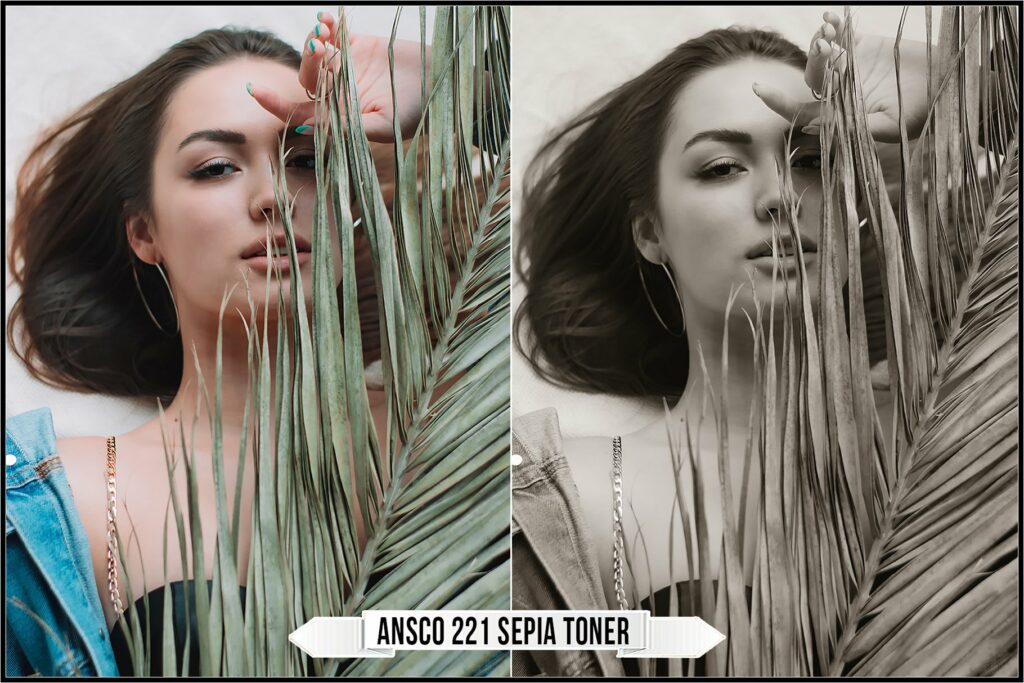 Darkroom Toners - Sepia Profiles – MasterBundles