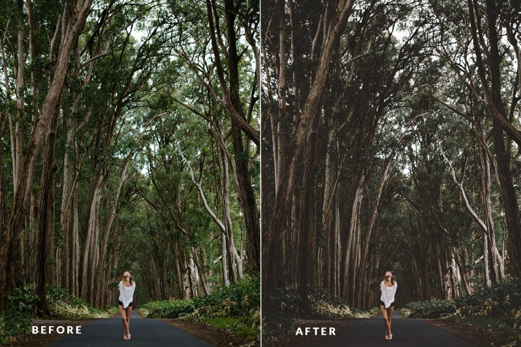 Oneday: Analog & Aesthetic Lr preset – MasterBundles