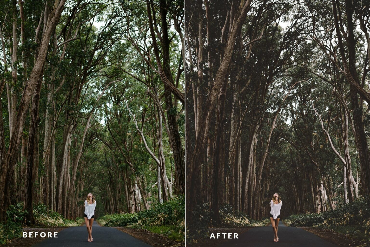 Oneday: Analog & Aesthetic Lr preset – MasterBundles