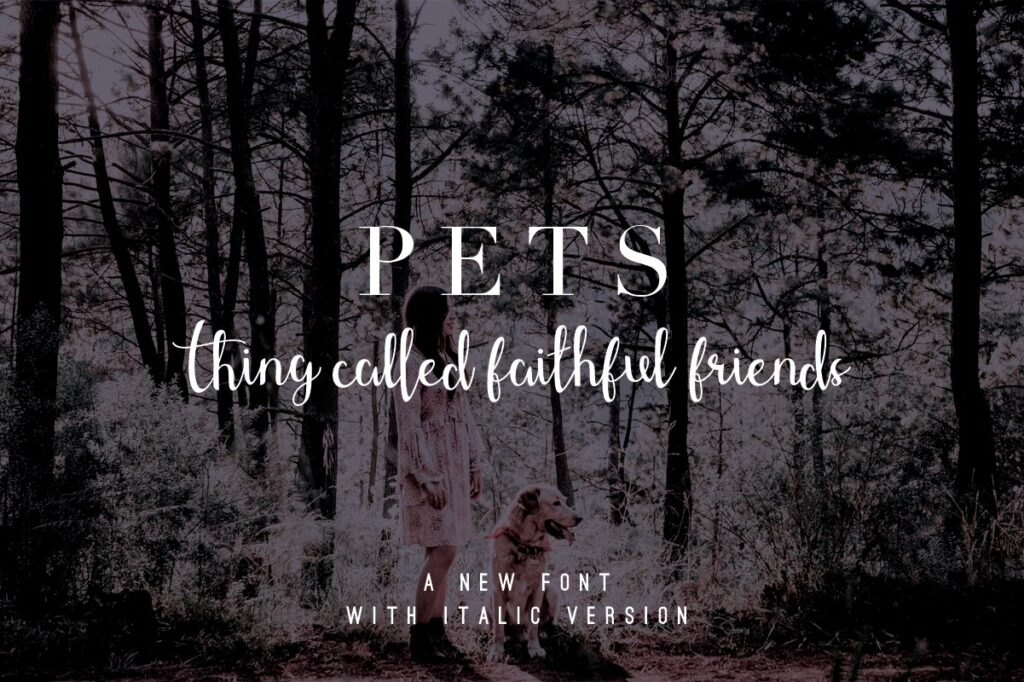 Shefilla - Script Font – MasterBundles