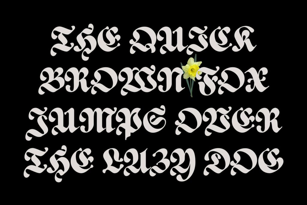 ED Daffodil – MasterBundles