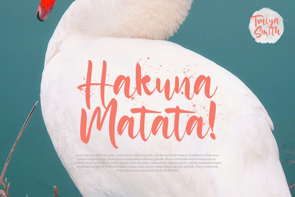 Toniya Smith - Handwritten Font – MasterBundles