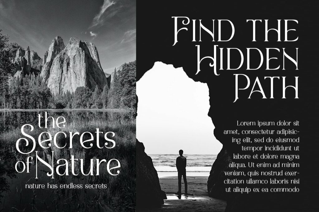 My Rayne - Stylish Serif Font – MasterBundles