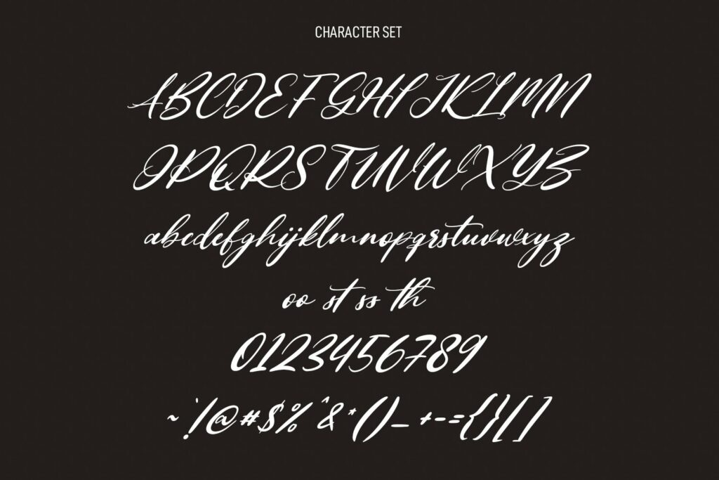 Asortings Signature Script Font – MasterBundles