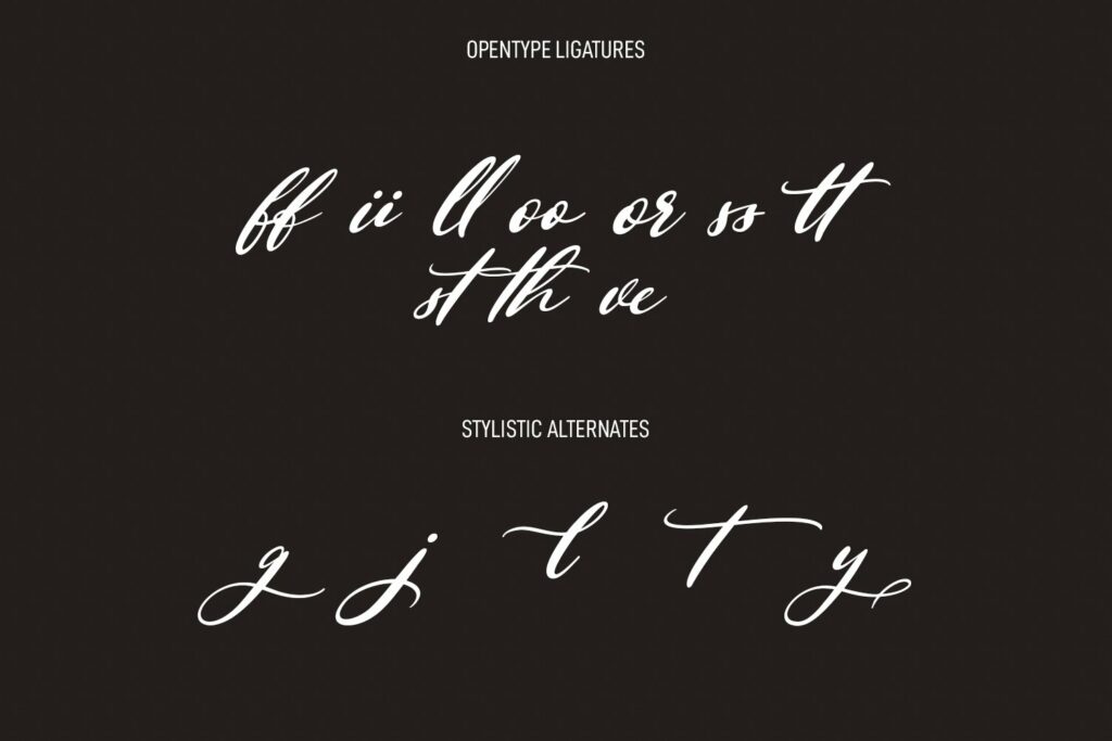 Asortings Signature Script Font – MasterBundles