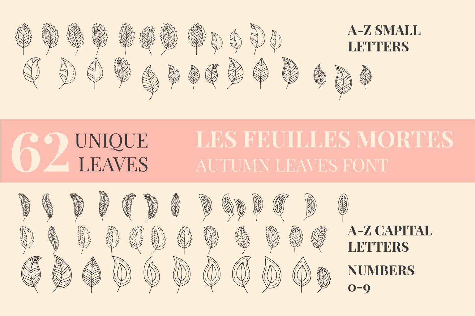 Autumn Leaves Dingbats Font – MasterBundles