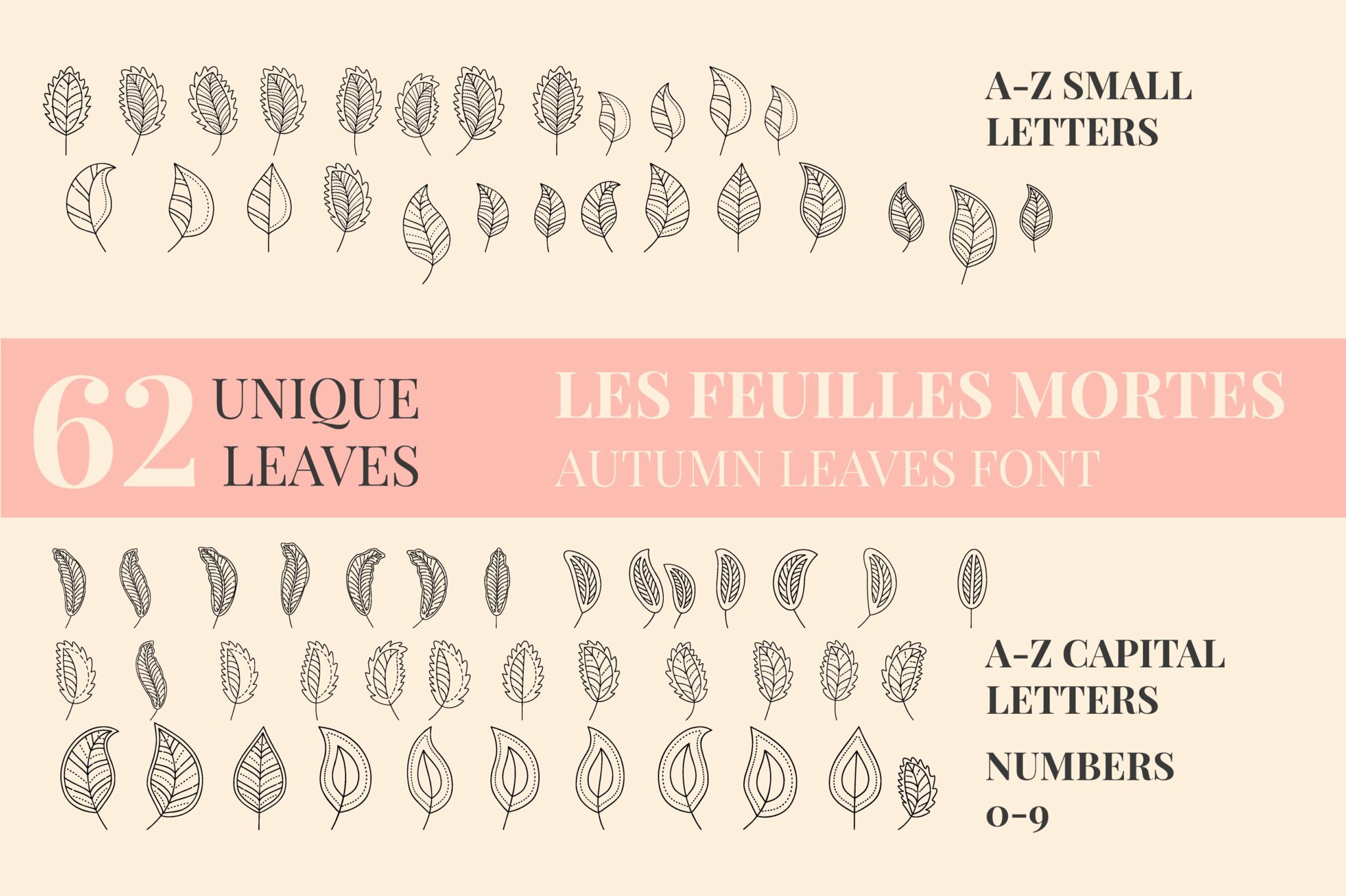 Autumn Leaves Dingbats Font – MasterBundles