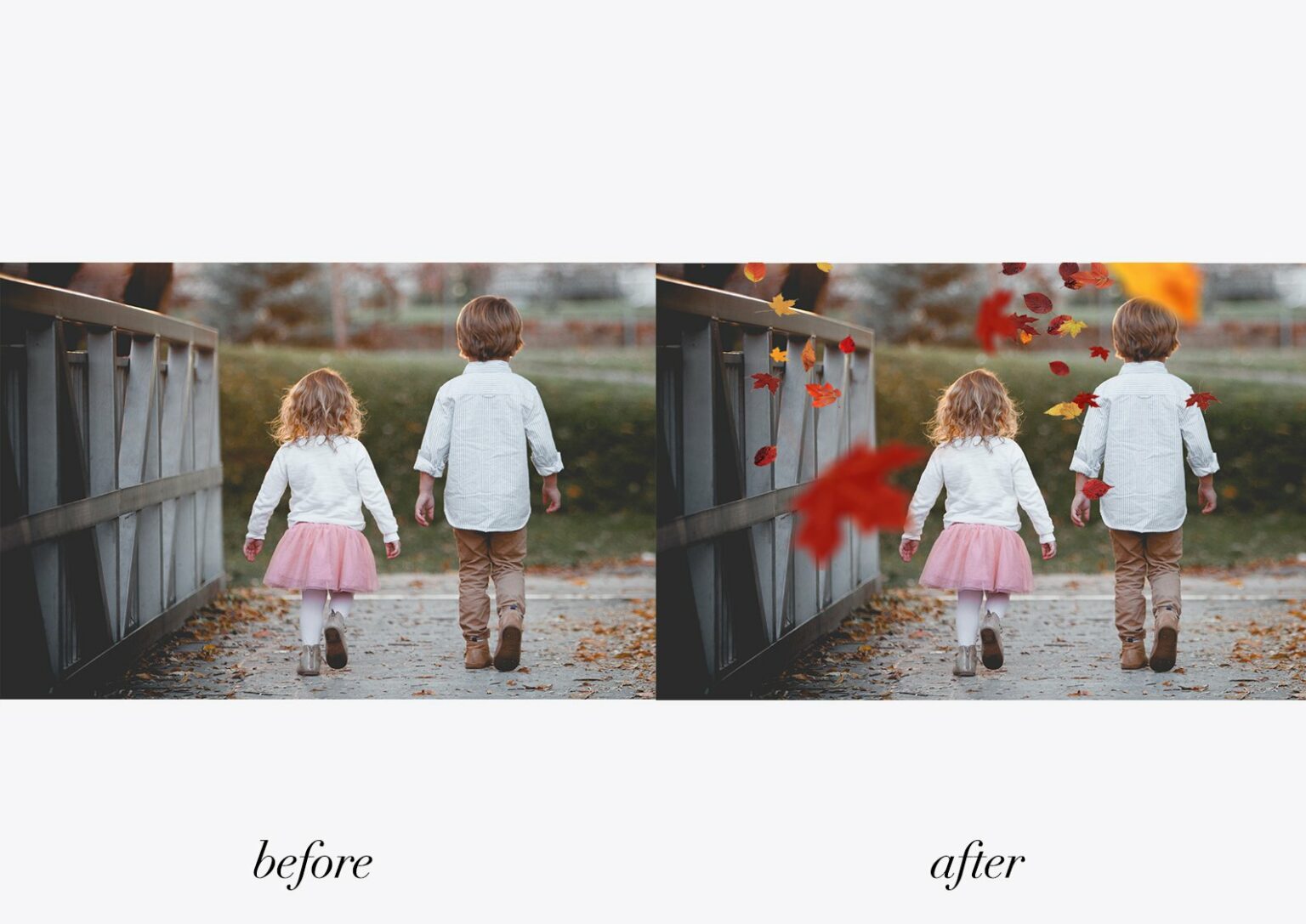 +83 Autumn Leaves Overlays – MasterBundles