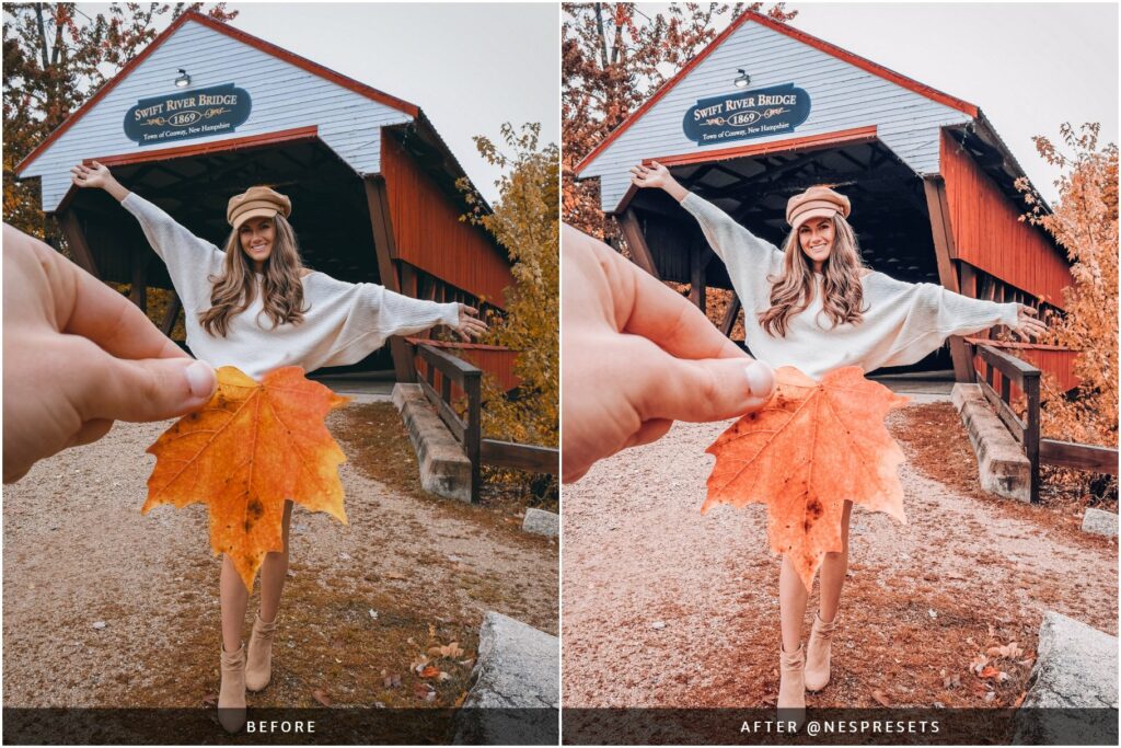 Autumn Leaves Lightroom Presets – MasterBundles
