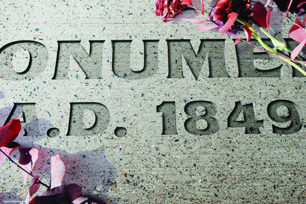 Bachman | Dark Display Type! – MasterBundles