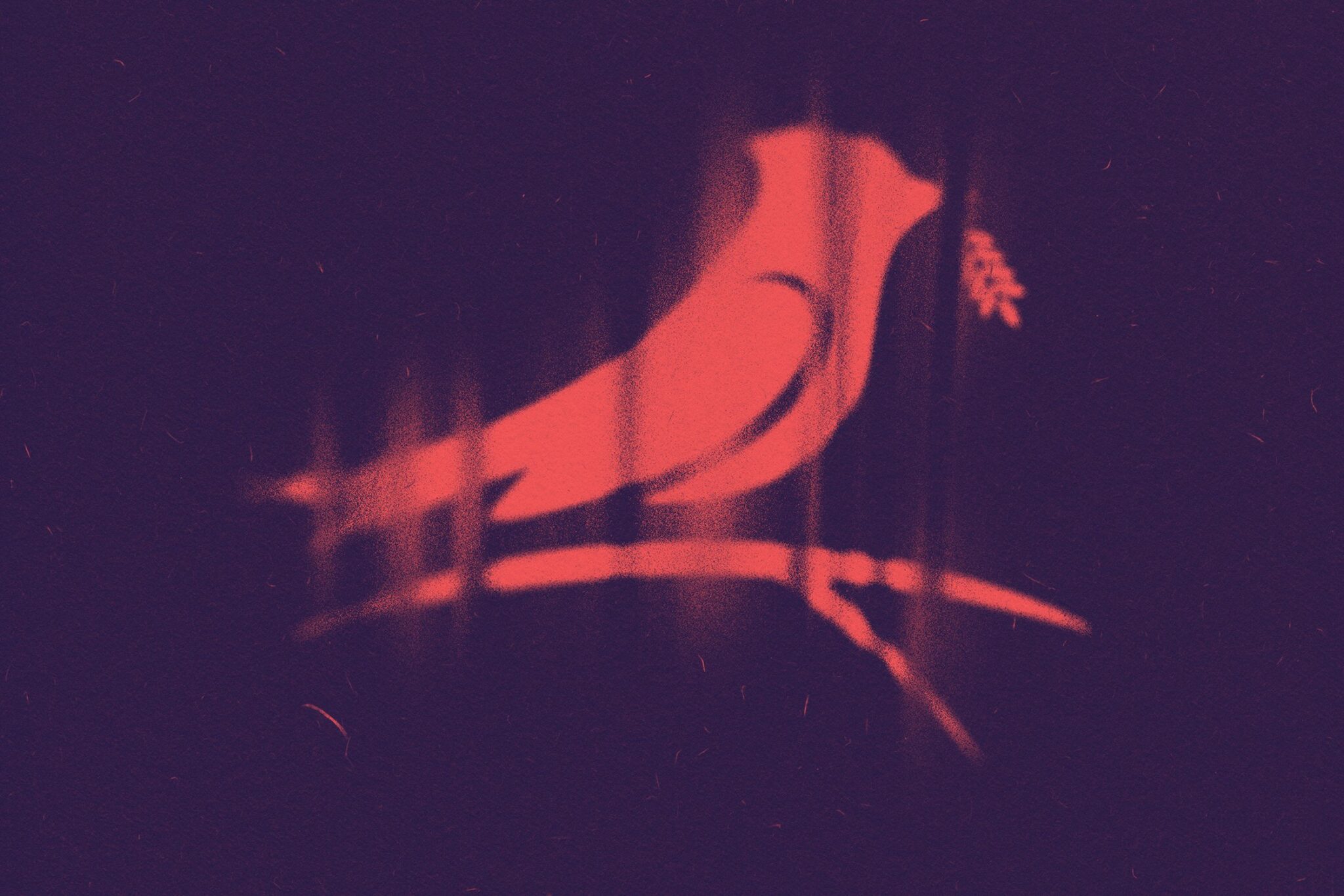 Bad Print Distortion for Posters – MasterBundles