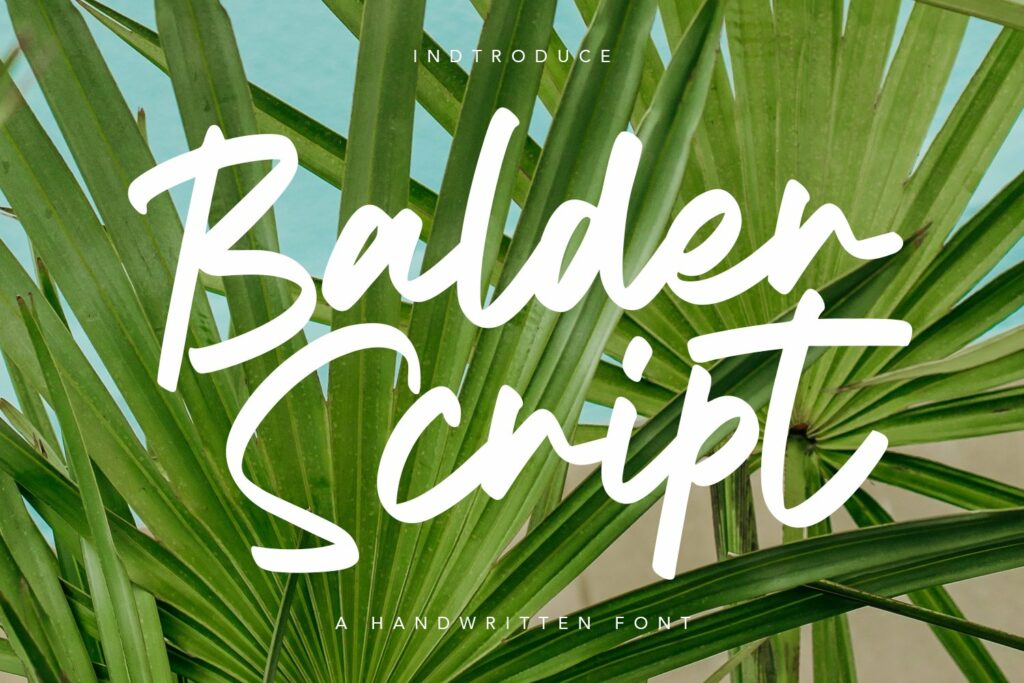 Balder Script Font – MasterBundles