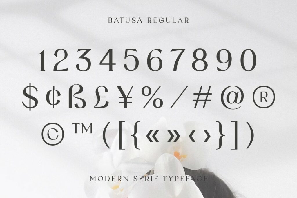 Batusa Modern Serif Fonts – MasterBundles