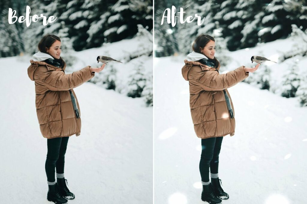 Snow Overlay For Lightroom – MasterBundles