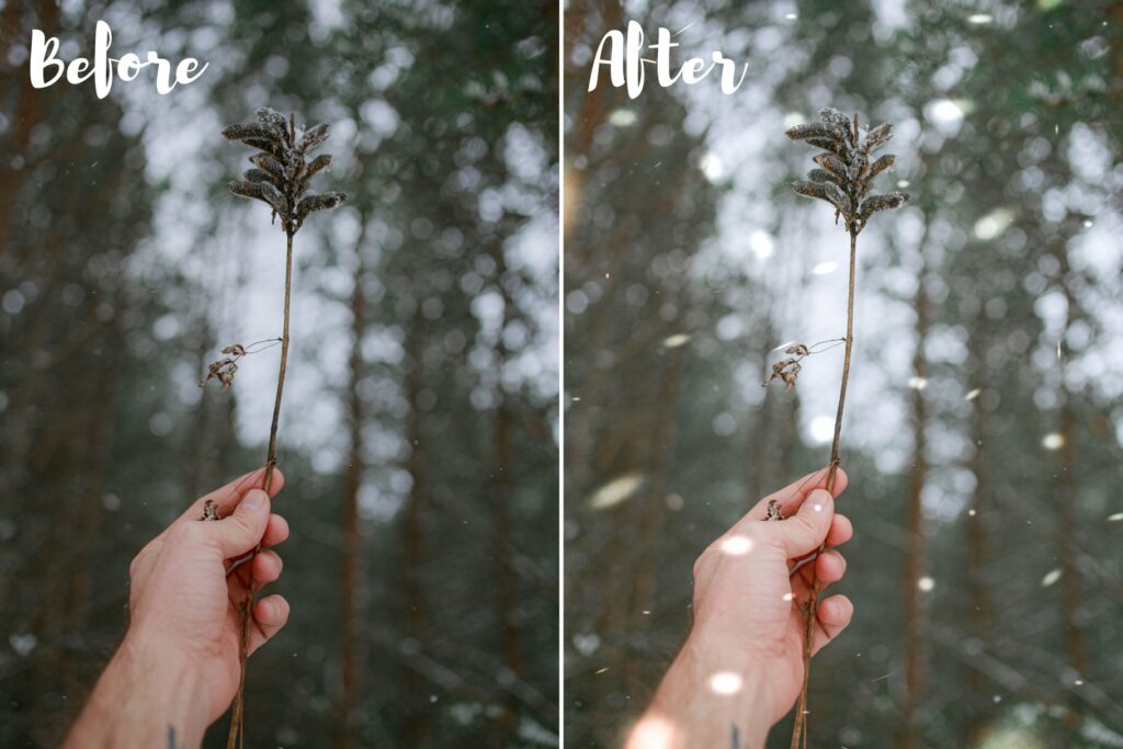 Snow overlays for Lightroom mobile – MasterBundles