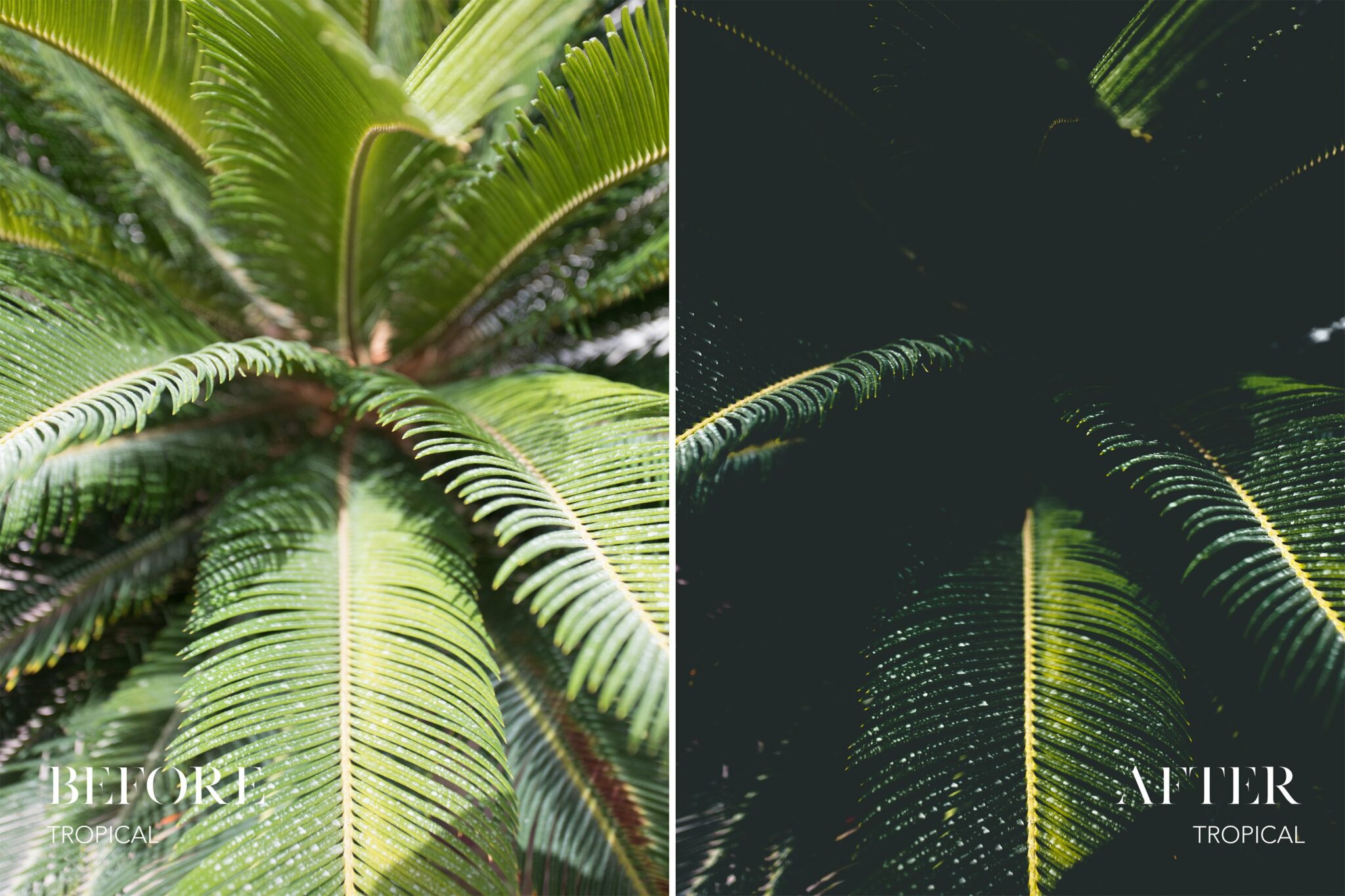 Joshua Fuller Presets Vol.05 – MasterBundles