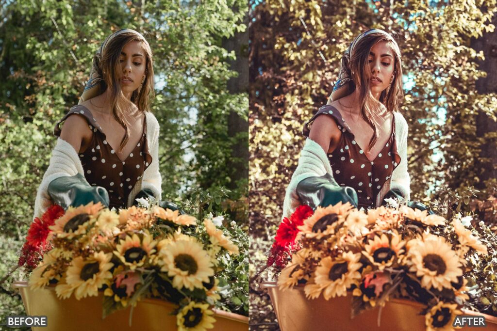 Rustic Moody Nature Look Presets – MasterBundles