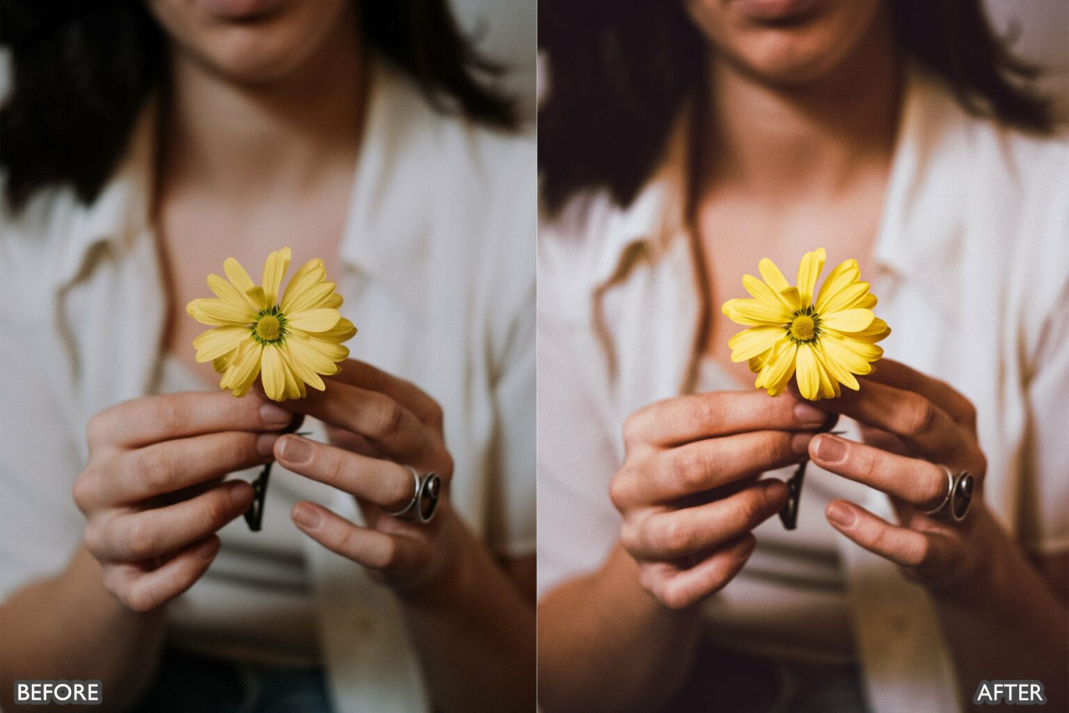 Nature Yellow Lightroom Presets – MasterBundles