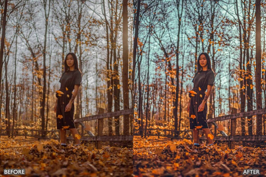 Fall Presets For Autumn Photos – MasterBundles