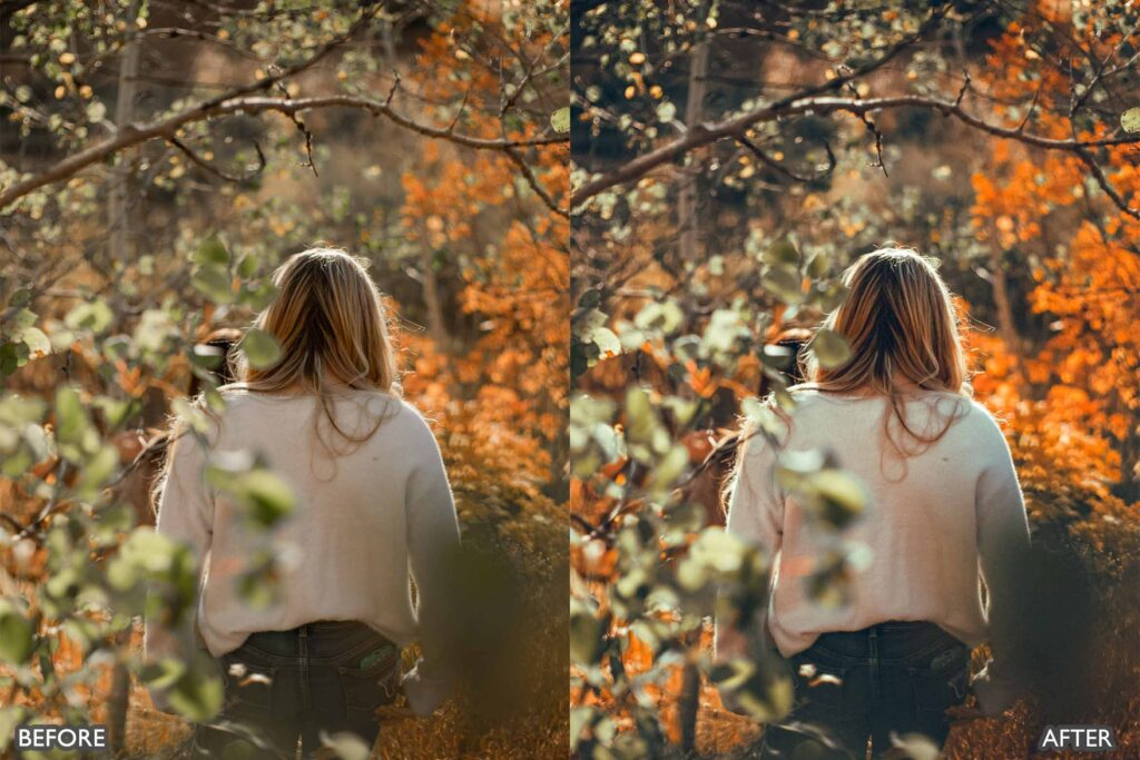 Fall Presets For Autumn Photos – MasterBundles