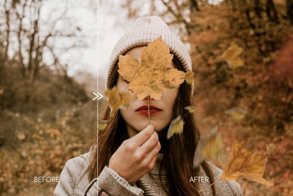 70 Natural Falling Leaf Overlays – MasterBundles