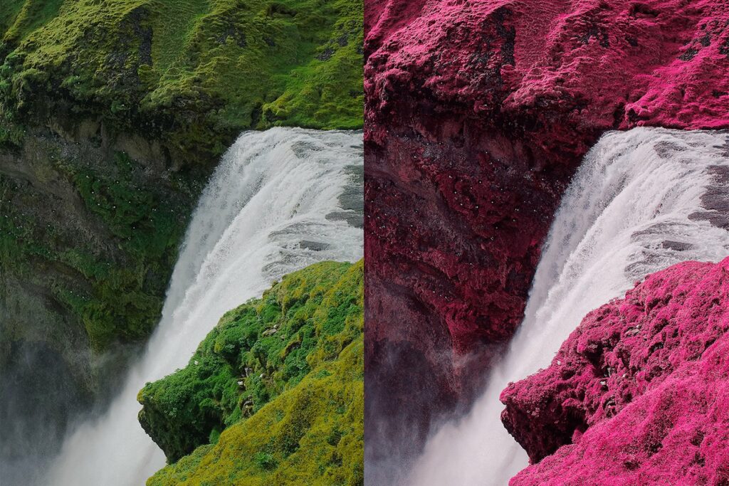 Infrared Rose — Lightroom – MasterBundles