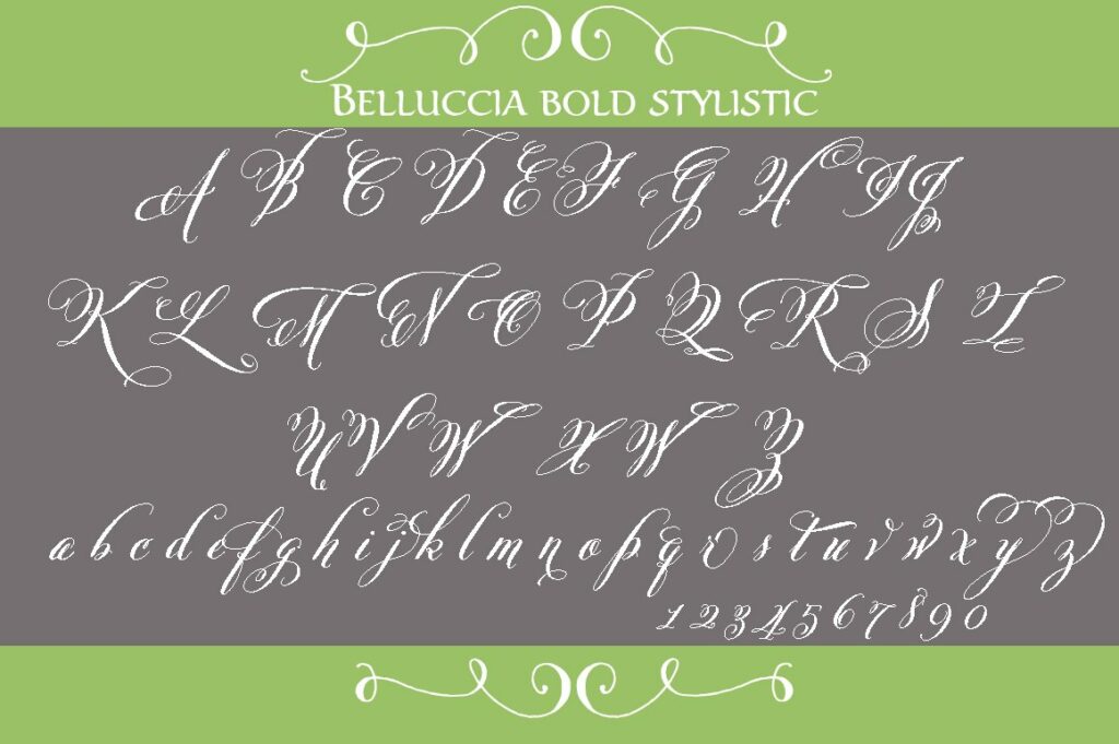 Belluccia Pro Bold Font – MasterBundles