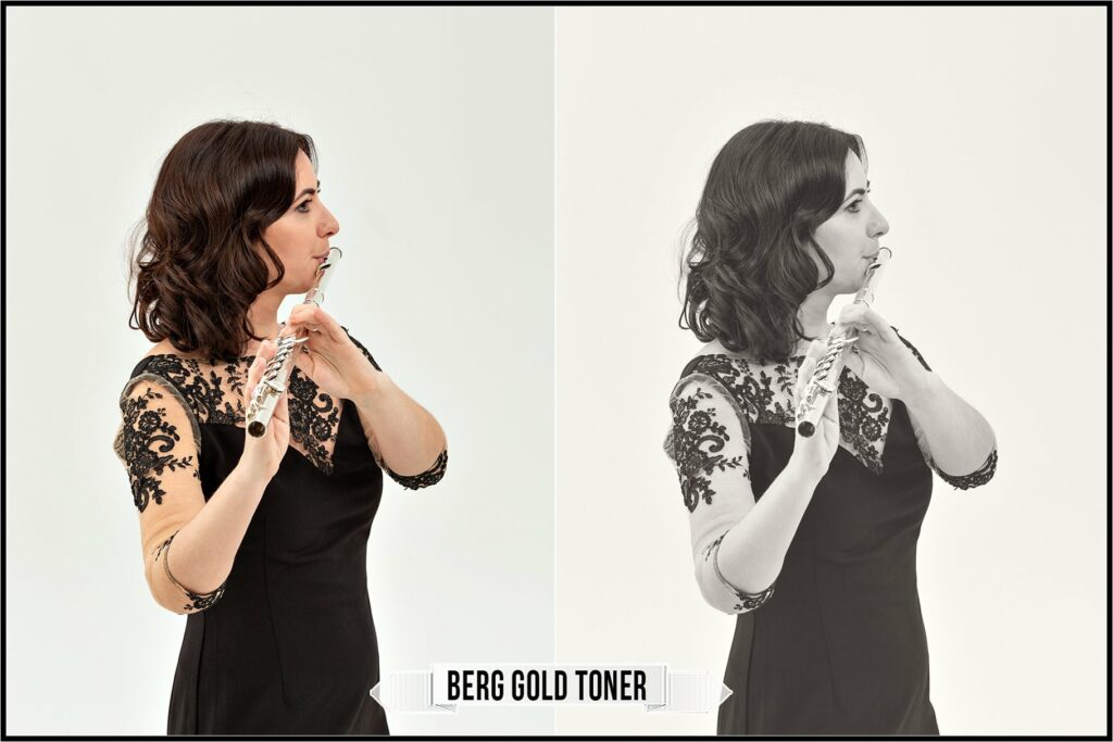 Darkroom Toners - Gold Profiles – MasterBundles