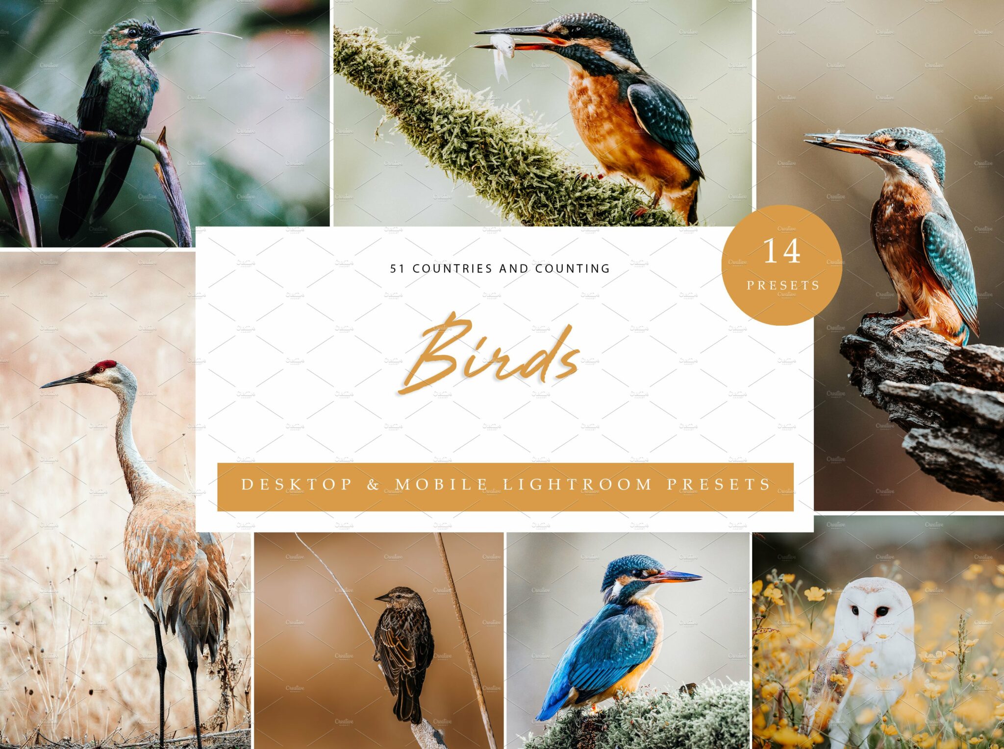 14 x Lightroom Presets, Birds – MasterBundles