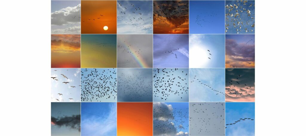 Sky Replacement Bundle For Photoshop – MasterBundles