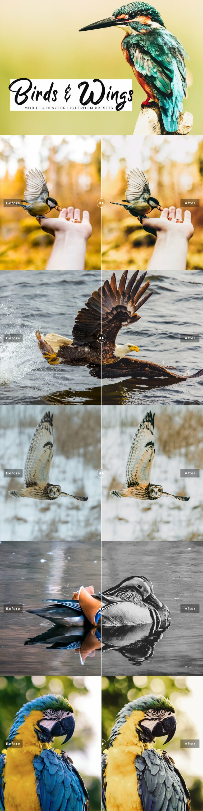 Birds & Wings Lightroom Presets Pack – MasterBundles