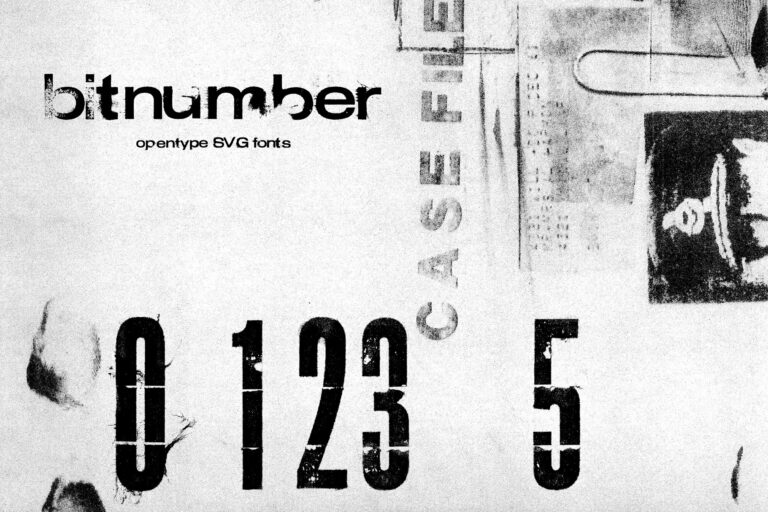 Bitnumber - OpenType SVG Font – MasterBundles
