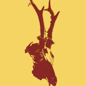 Bitmapper - PSD Template – MasterBundles