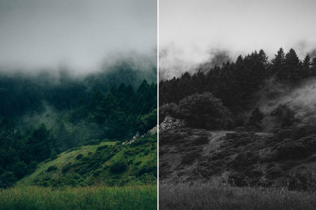 Lightroom Preset Starter Kit – MasterBundles