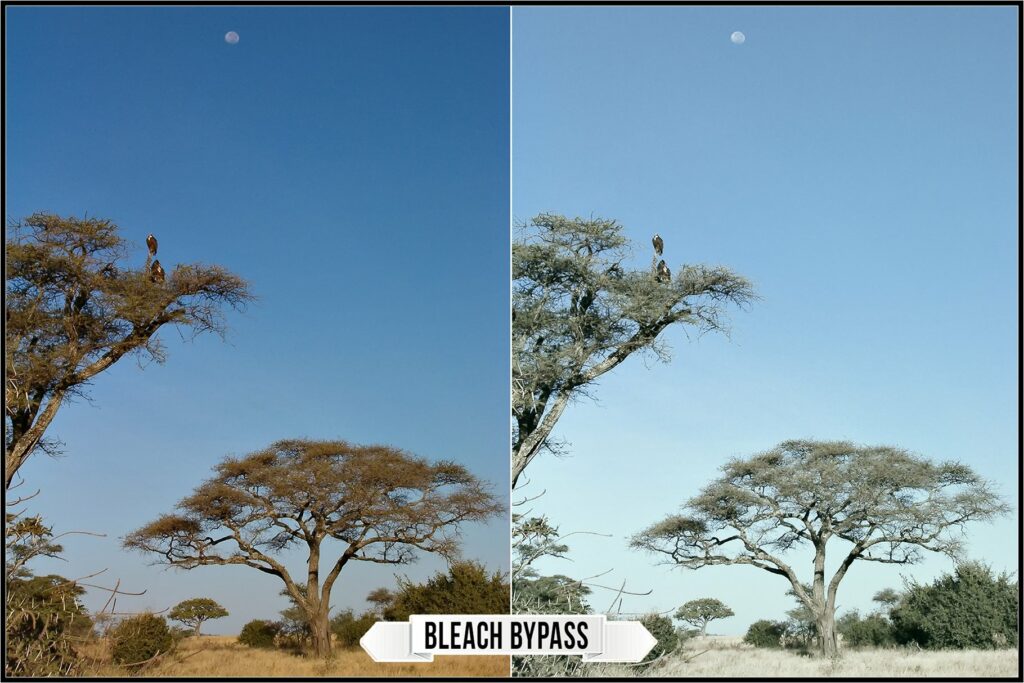 Ricoh Image Controls & Creative Mode – MasterBundles